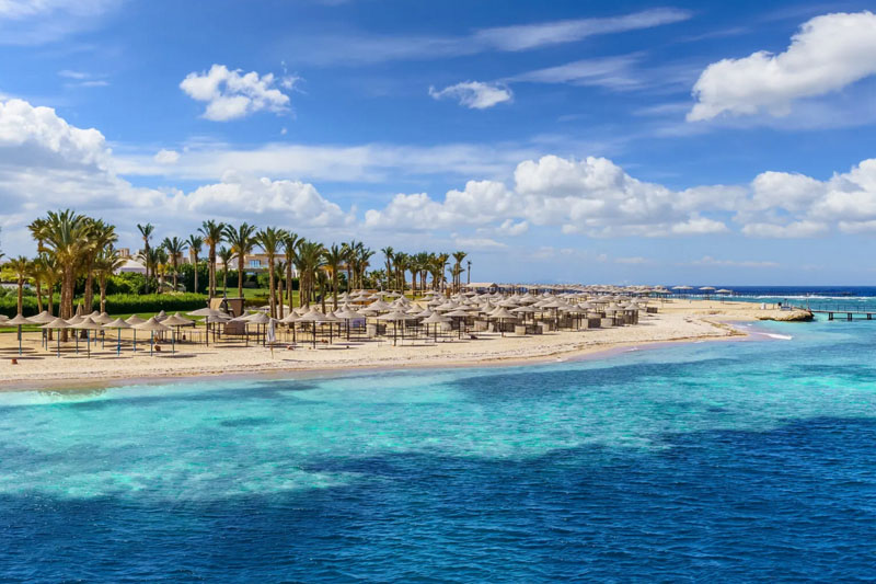Marsa Alam w Egipcie – TOP 13 najciekawszych atrakcji turystycznych ...